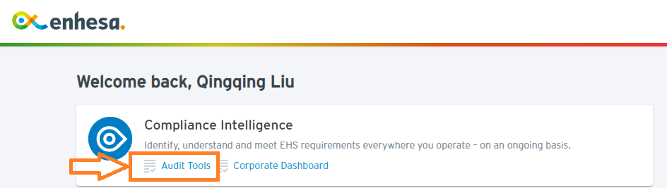 Introduction to Audit PDF – Enhesa